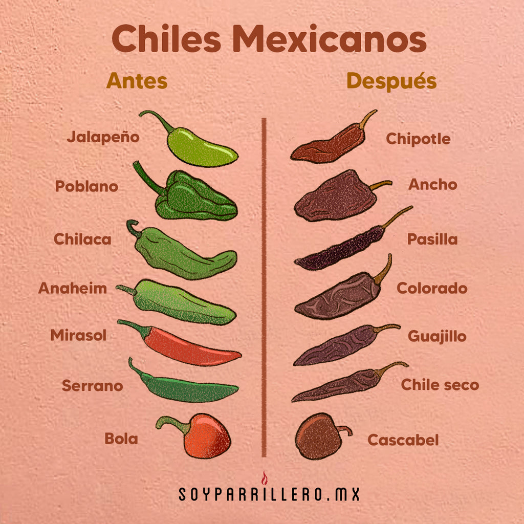 Tipos De Chiles Mexicanos De Chiles Frescos A Secos: Descubre La